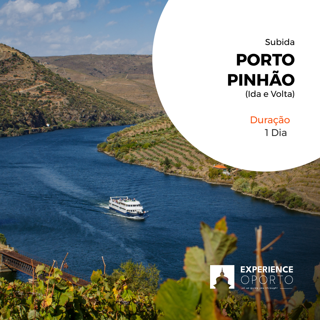 Rota do Douro - Porto para Pinhão (ida e volta) (Subida) - Experience ...