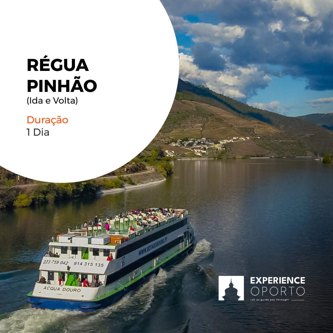 Rota do Douro - Régua para Pinhão (Apenas Ida) - Experience Oporto