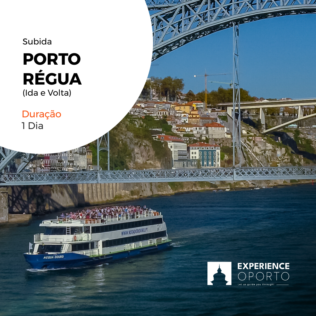 Rota do Douro - Porto à Régua (ida e volta) (subida) - Experience Oporto
